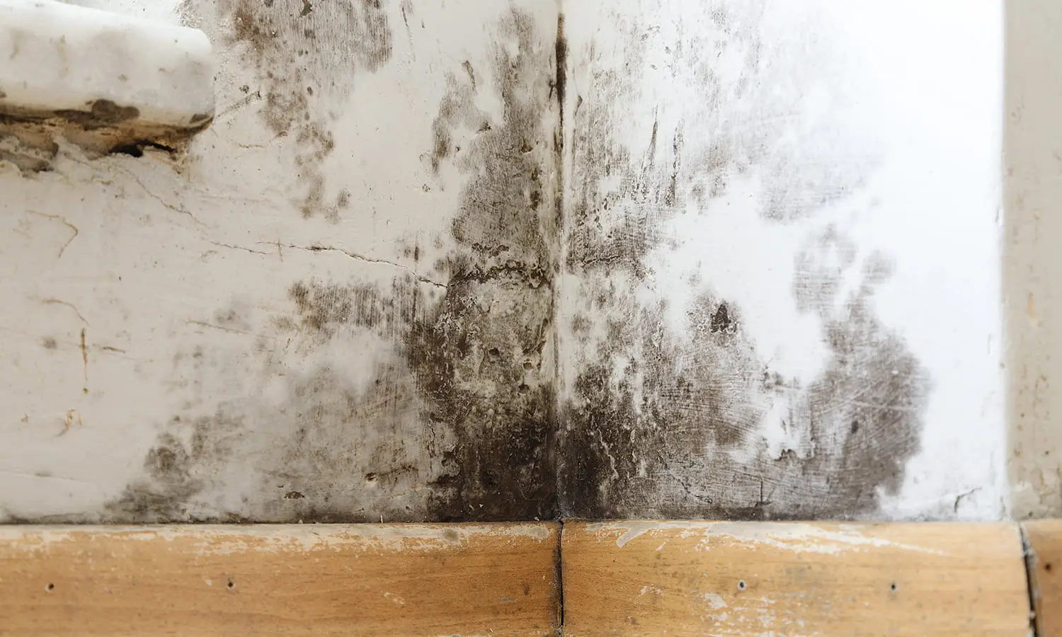Vochtplekken op de muur? | Vochtbestrijding Twente